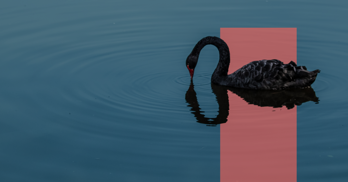 Noget, der ligner Den sorte svane | Bibliotekerne